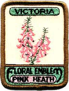 Souvenir Patches